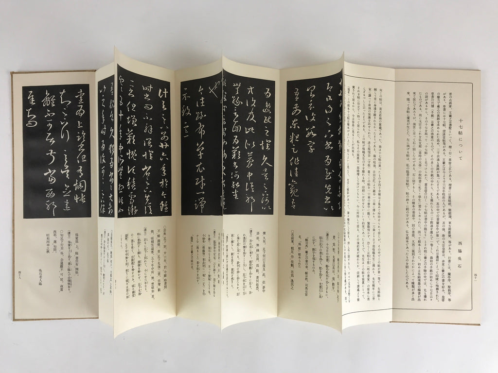 Japanese Calligraphy Reisho Rinsho Ju Nana Jo Vtg Copy Book Tehon Shod ...