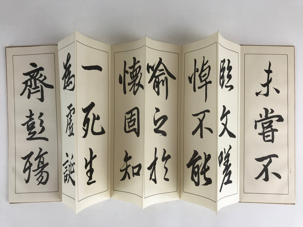 Japanese Calligraphy Reisho Rinsho Ranteijo Ge 2 Volumes Vtg Copy Book ...
