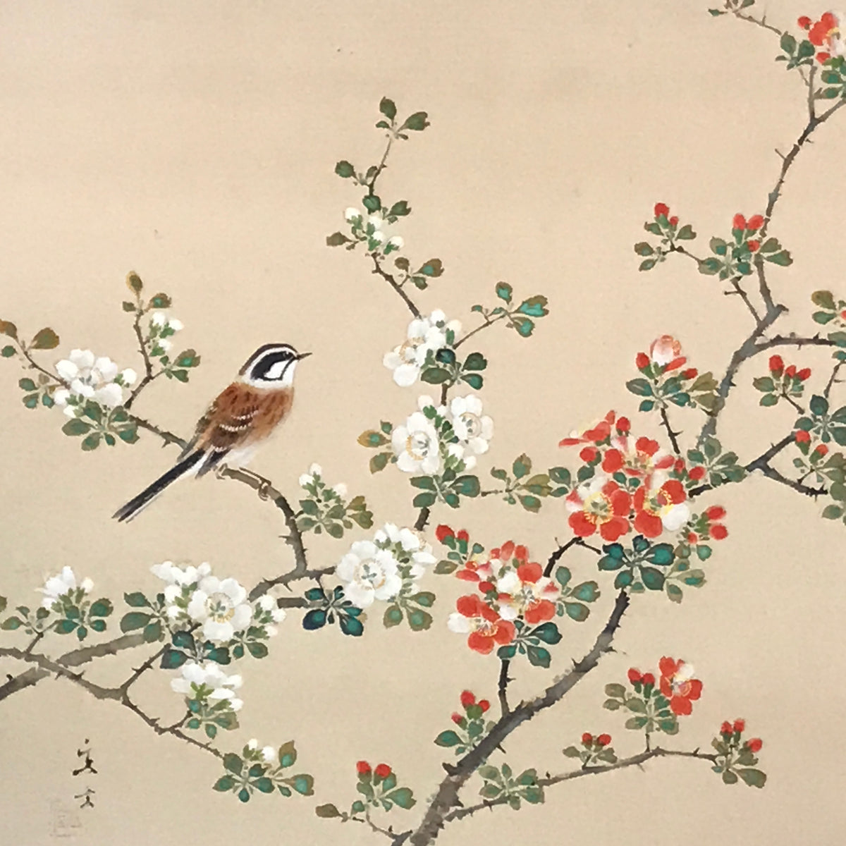 Japanese Hanging Scroll Kakejiku Vtg Hawthorn Flowers Sparrow Bird Col ...