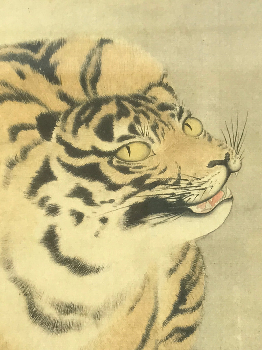 Japanese Shikishi Paper Art Lacquered Frame Vtg Ōkyo Maruyama Tiger Pr ...
