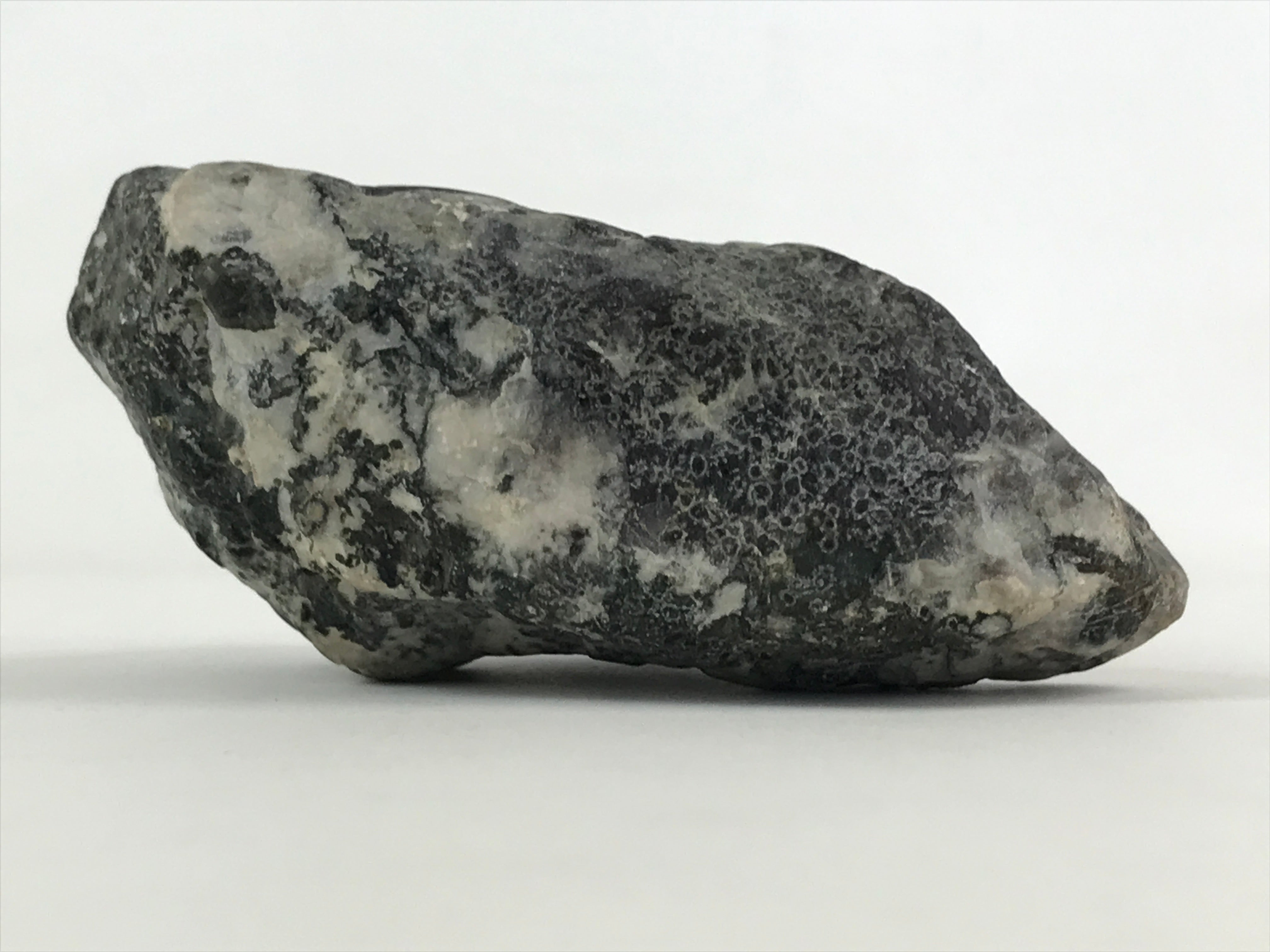 Japanese Viewing Stone Zen Buddhist Vtg Suiseki Radiant White JK558 ...