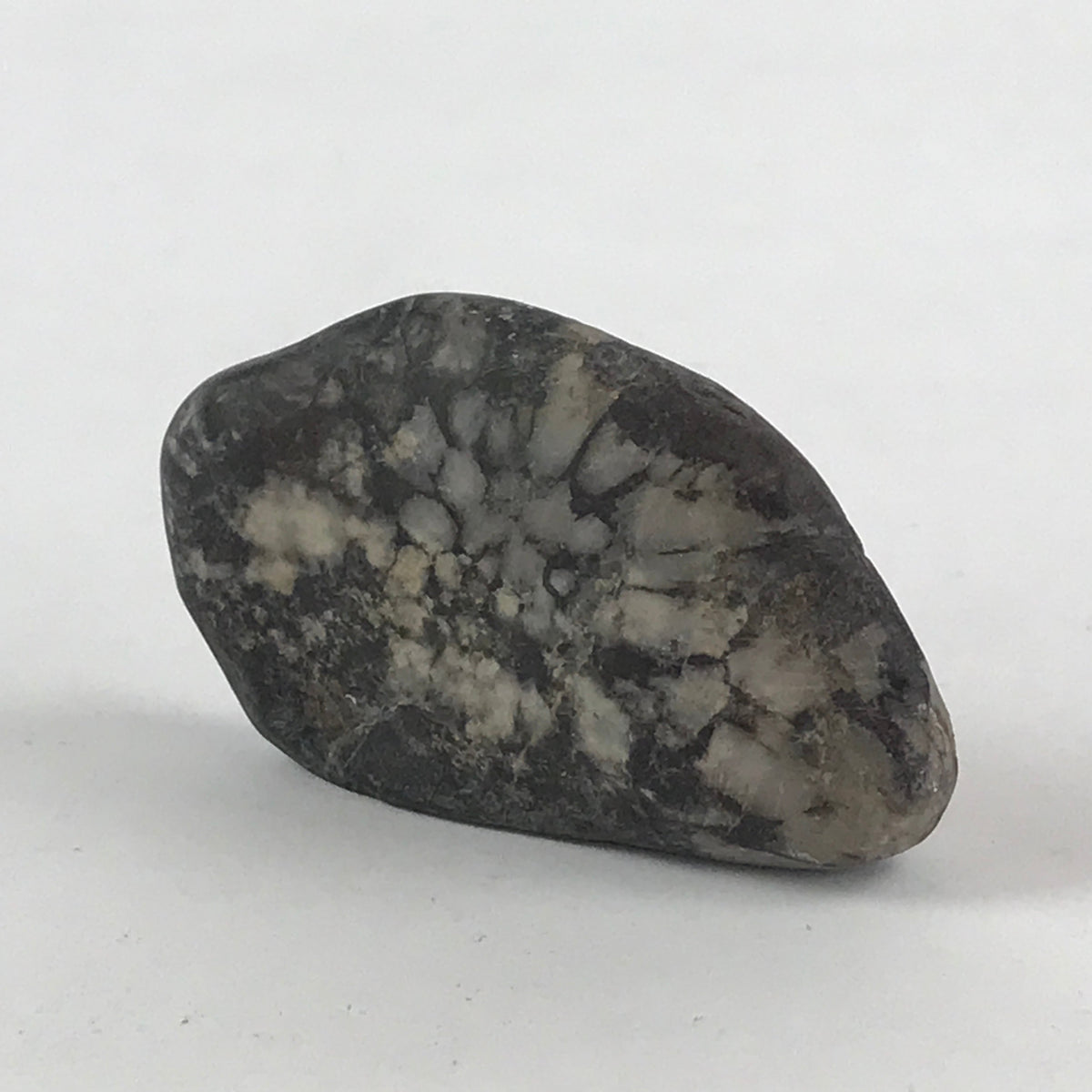 Japanese Viewing Stone Zen Buddhist Vtg Suiseki Small Radiant White JK ...