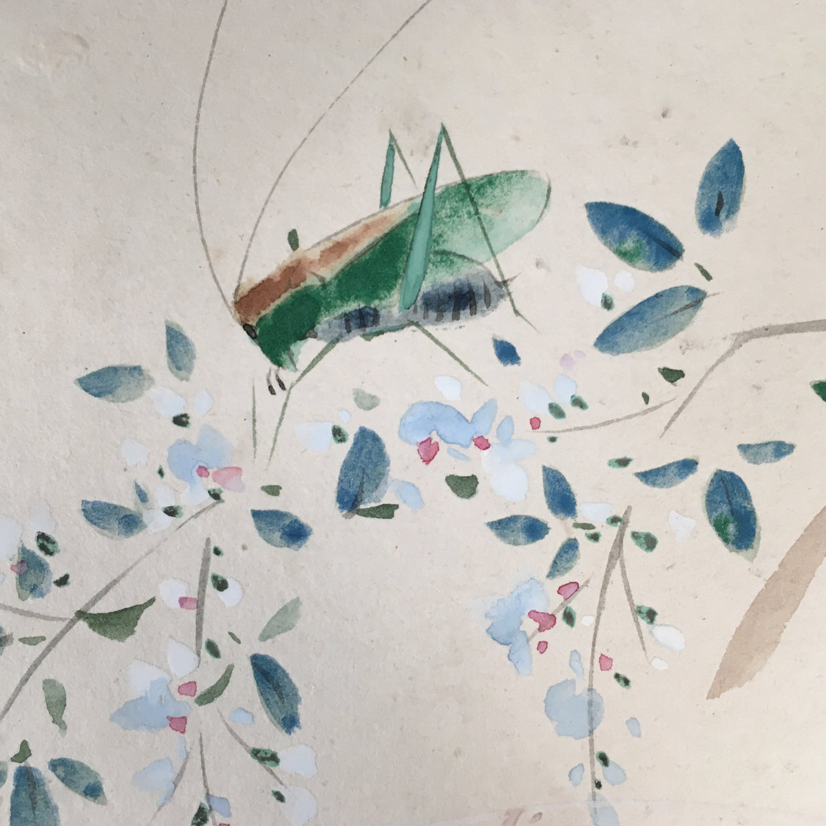 Japanese Art Board Vtg Shikishi Paper Hand-painted Grass Hopper A306 ...