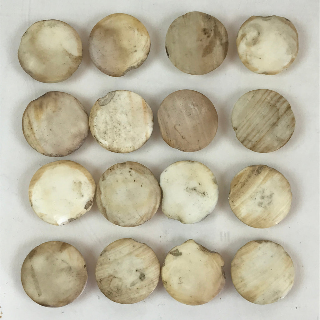 Japanese Go Stone Goishi Vtg Traditional Game Igo Go White Shell GO74 ...