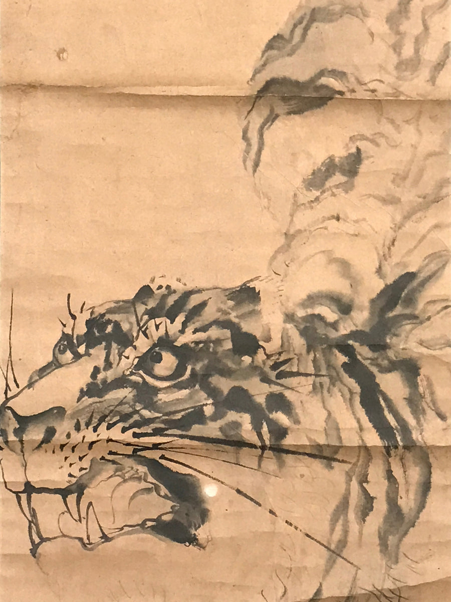 Japanese Hanging Scroll Tiger Baring Fangs Tora Black Kakejiku Kakemon ...