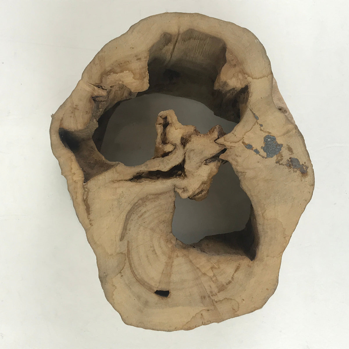 Japanese Ornamental Tree Stump Decoration Ikebana Flower Arrangement K ...